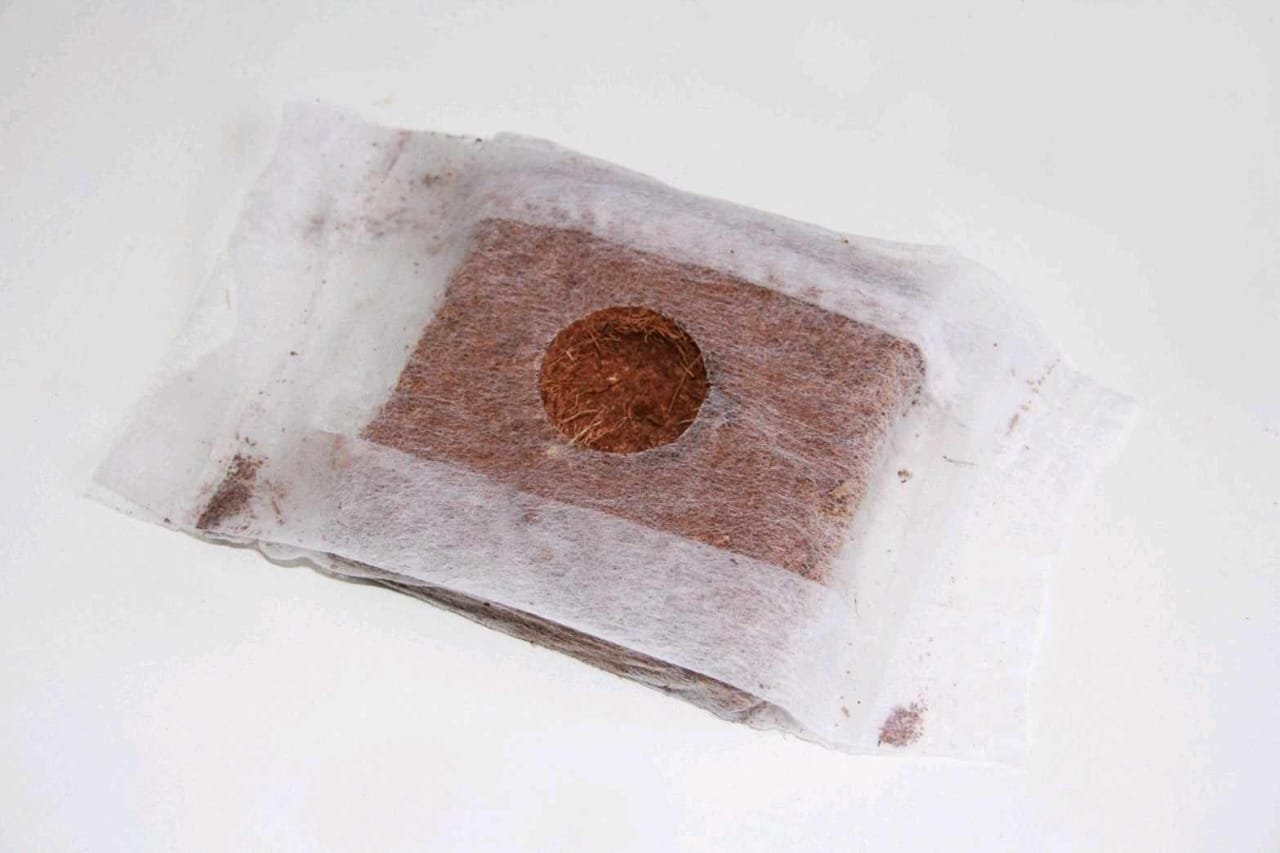 Coir Grow Cubes - Earth Scape